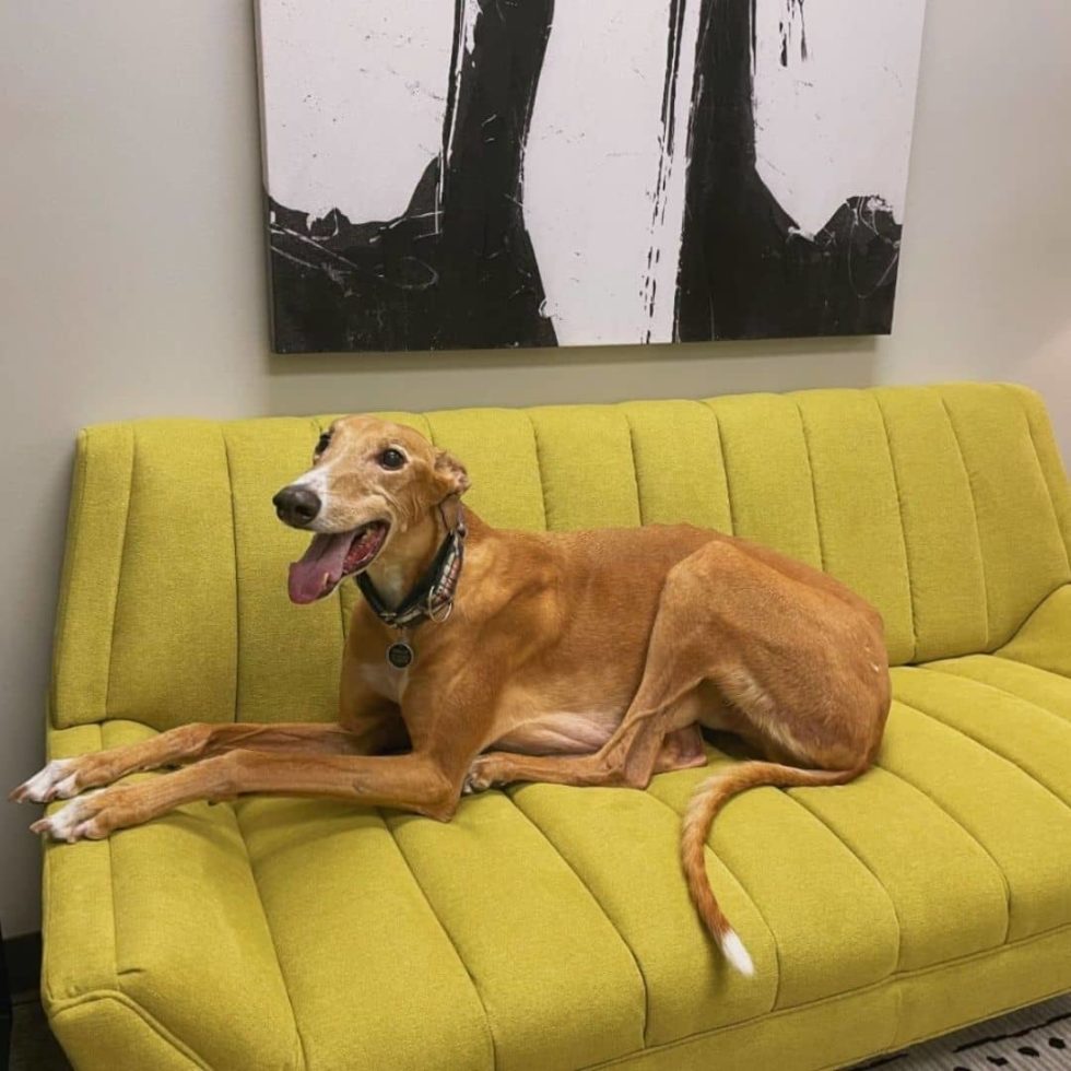 Home - Apex Staffing